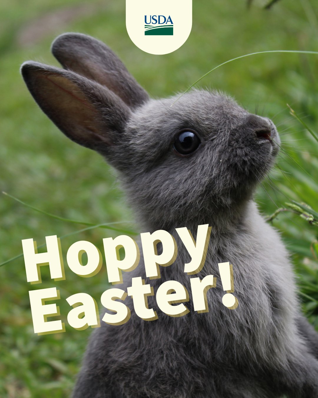Cute Happy Easter Memes