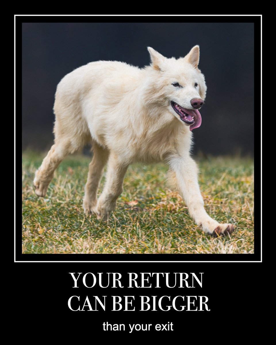 Colossal Biosciences Raises $200M to Clone Dire Wolf Pups Using CRISPR ...