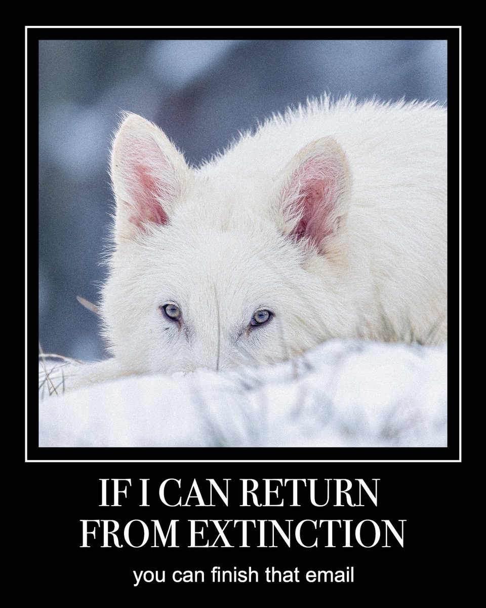 Colossal Biosciences Raises $200M to Clone Dire Wolf Pups Using CRISPR ...