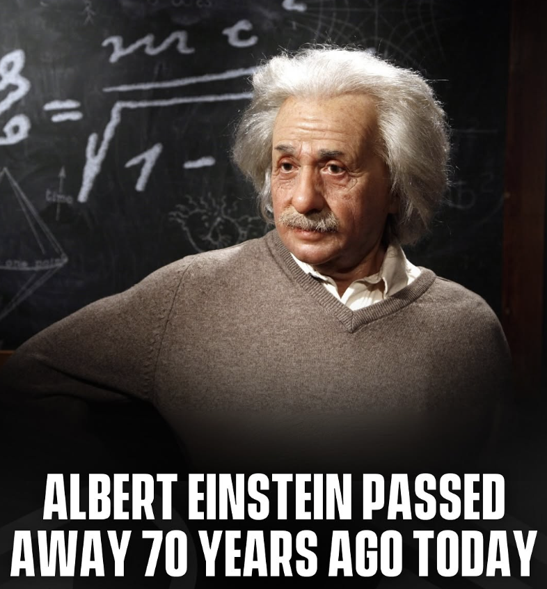 Einstein Meme Time Memeobi | Yoda “time Is An Absolute” #starwars
