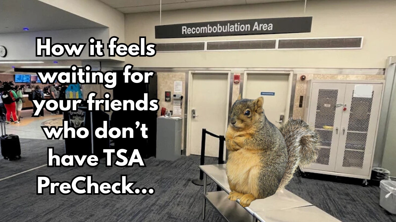 Tsa Precheck Memes Airport... Transportation Security Administration