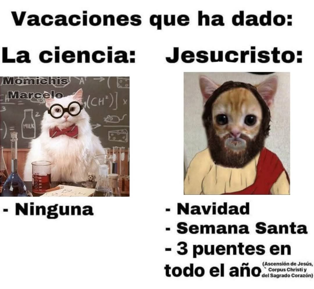 Memes Del Corazon Instagram Photo By ℳℯ𝓂ℯs • Jan 11,