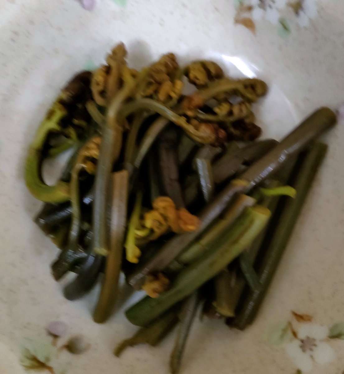 BOPPO(@Boppo2011) - Twilog (ツイログ)