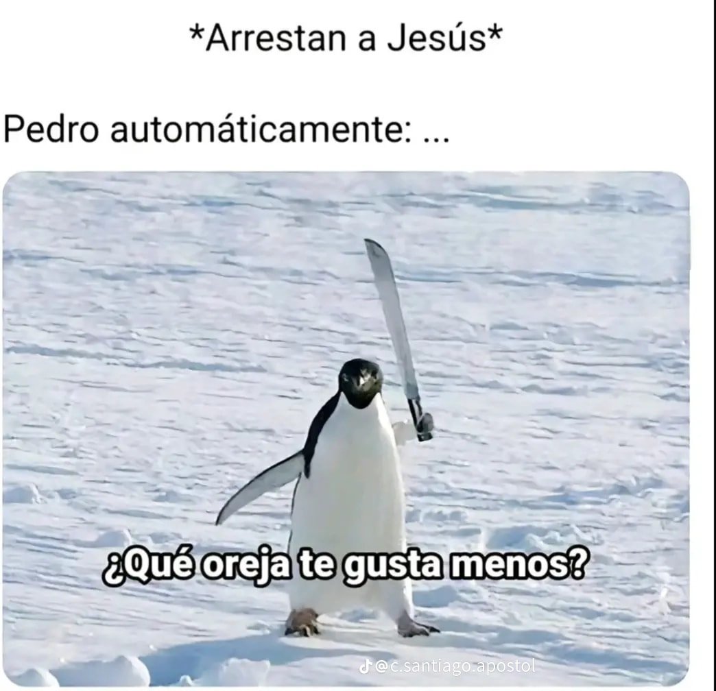 Memes Punguino Memes De Pingu Blog Posts