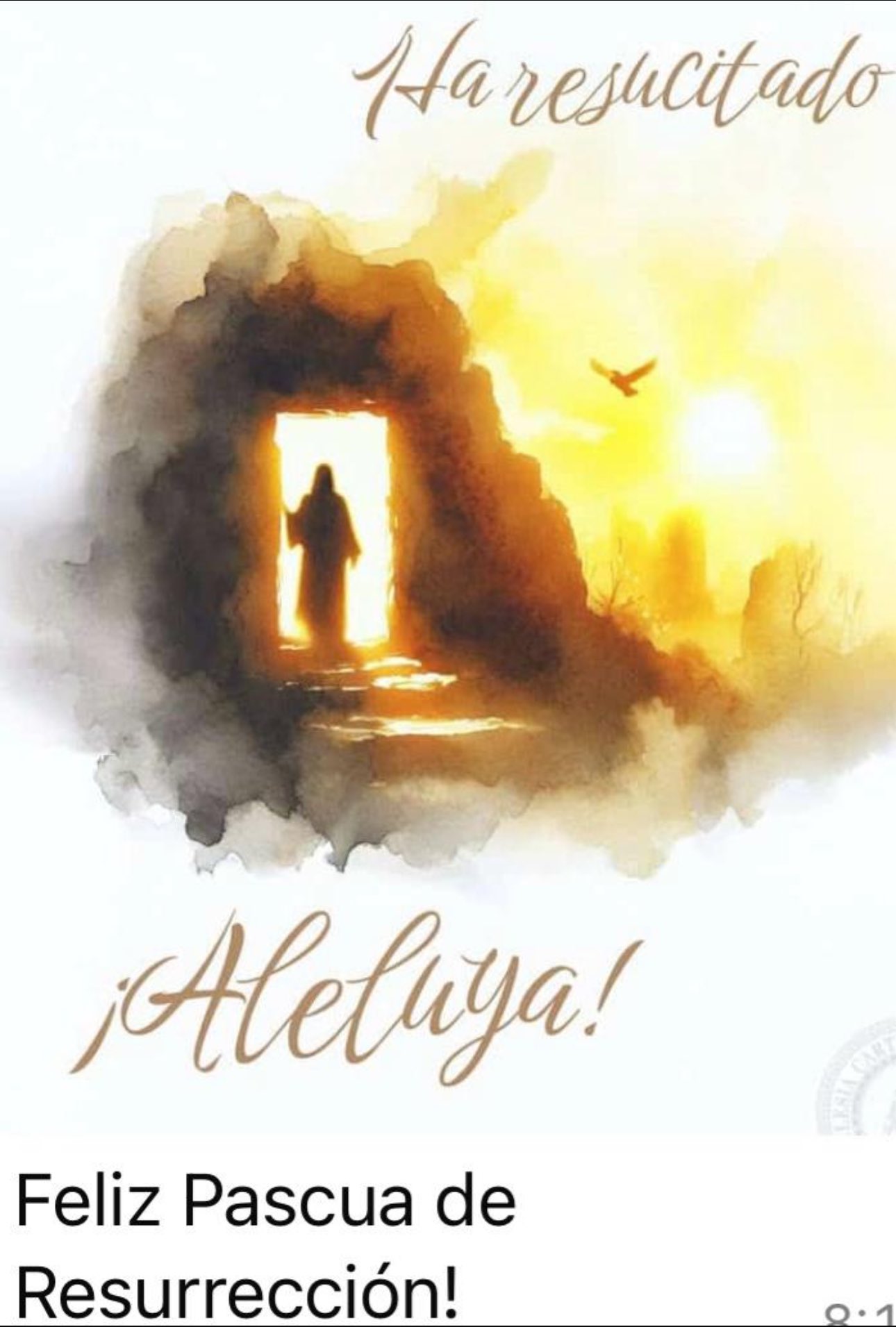 Feliz Pascua De Resurrección