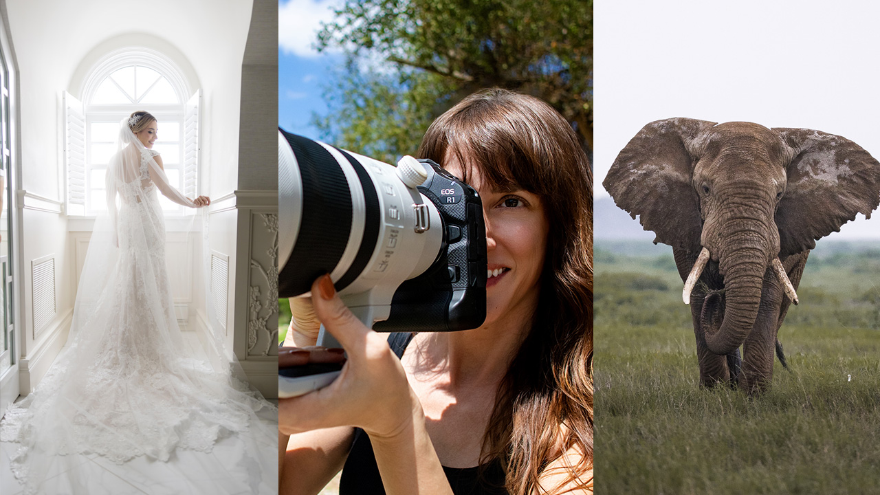 Similarities And Differences Photography A Comparison: Film And
