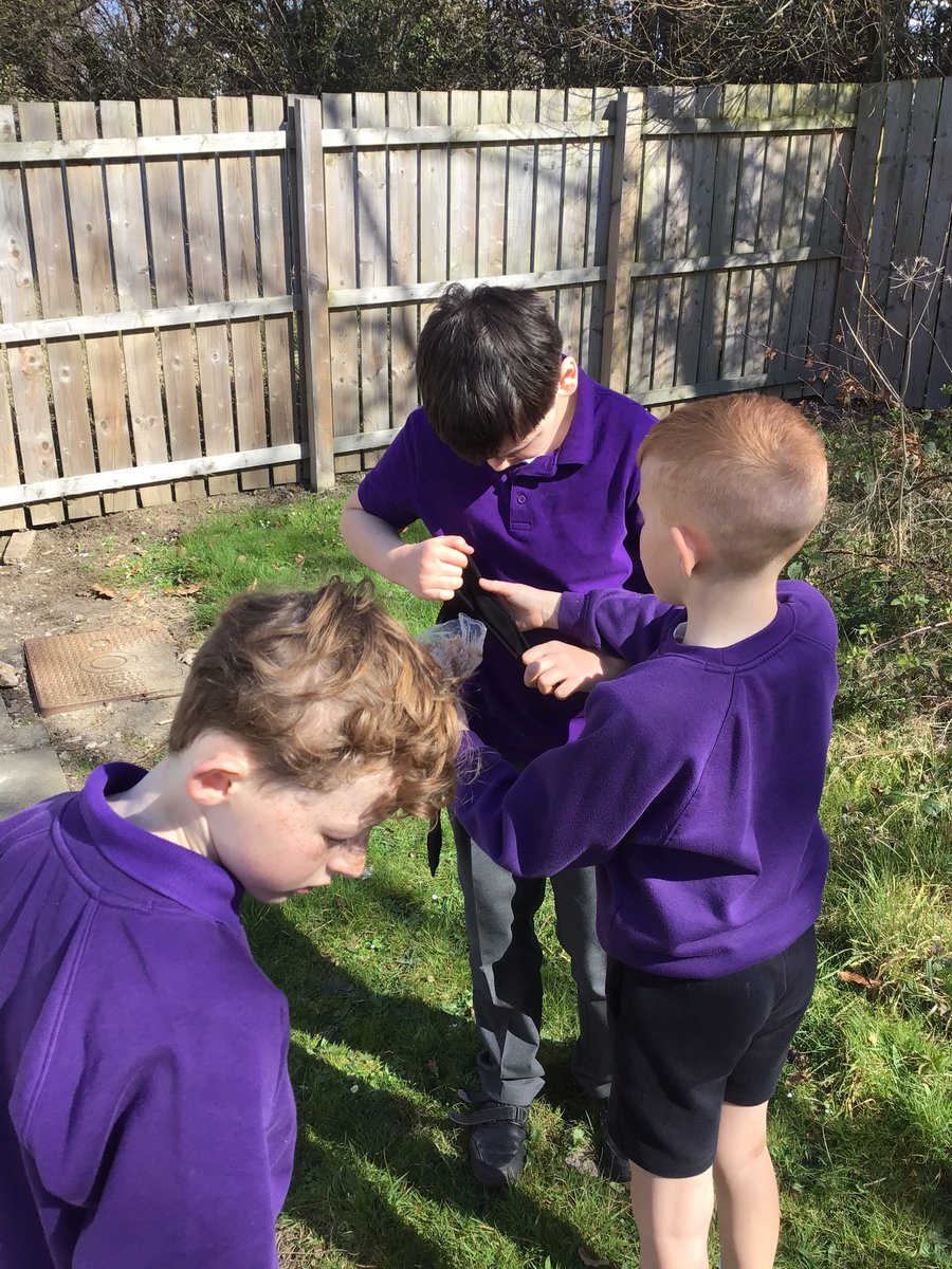 Morpeth All Saints | Part of the Cheviot Learning Trust