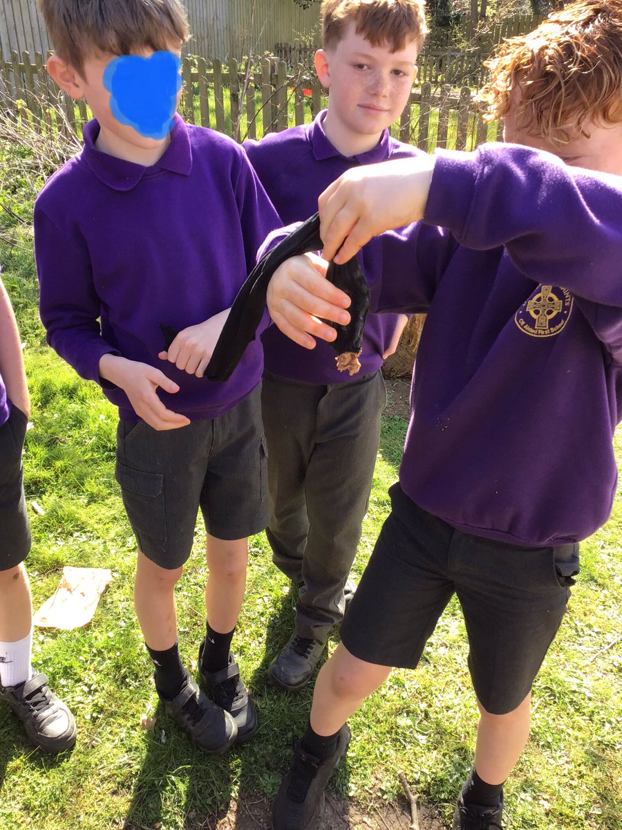 Morpeth All Saints | Part of the Cheviot Learning Trust