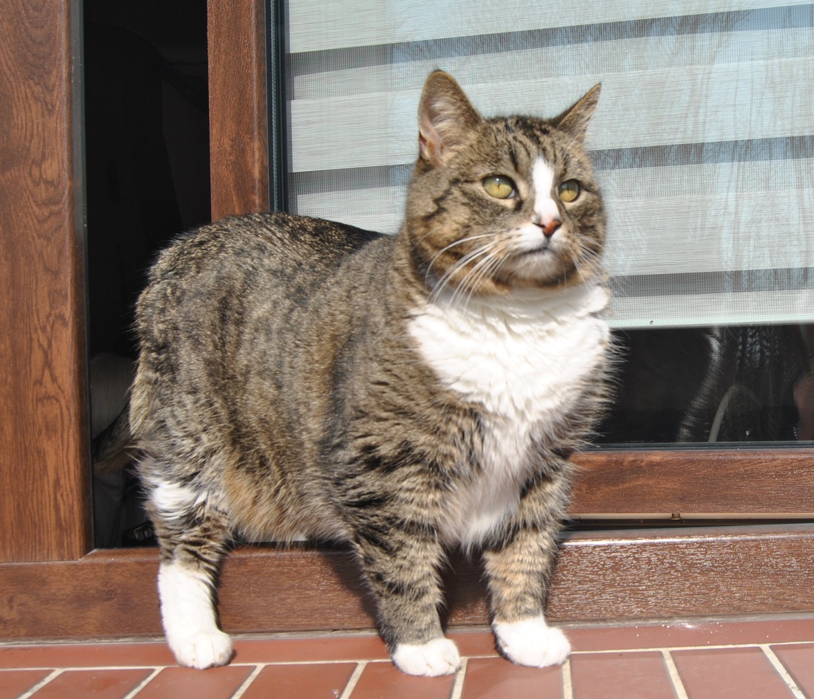 Jerry Allen Coyne Campbell Magazine – Fall 2013 By Campbell