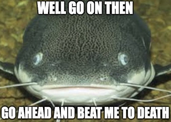 Catfish Tv Show Memes