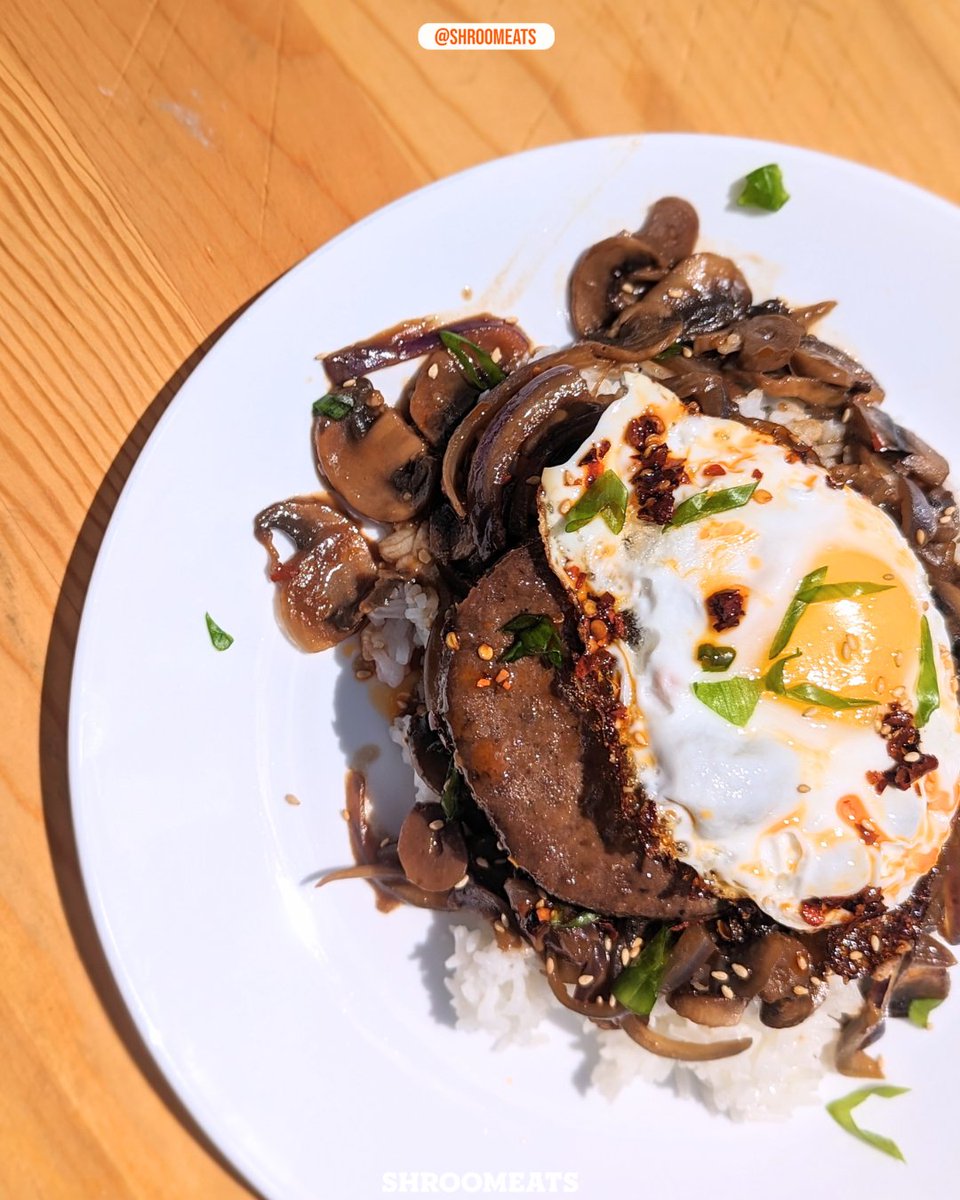 Shroomeats is a Mushroom Burger! Holy Shiitake! (@shroomeats) / Posts / X