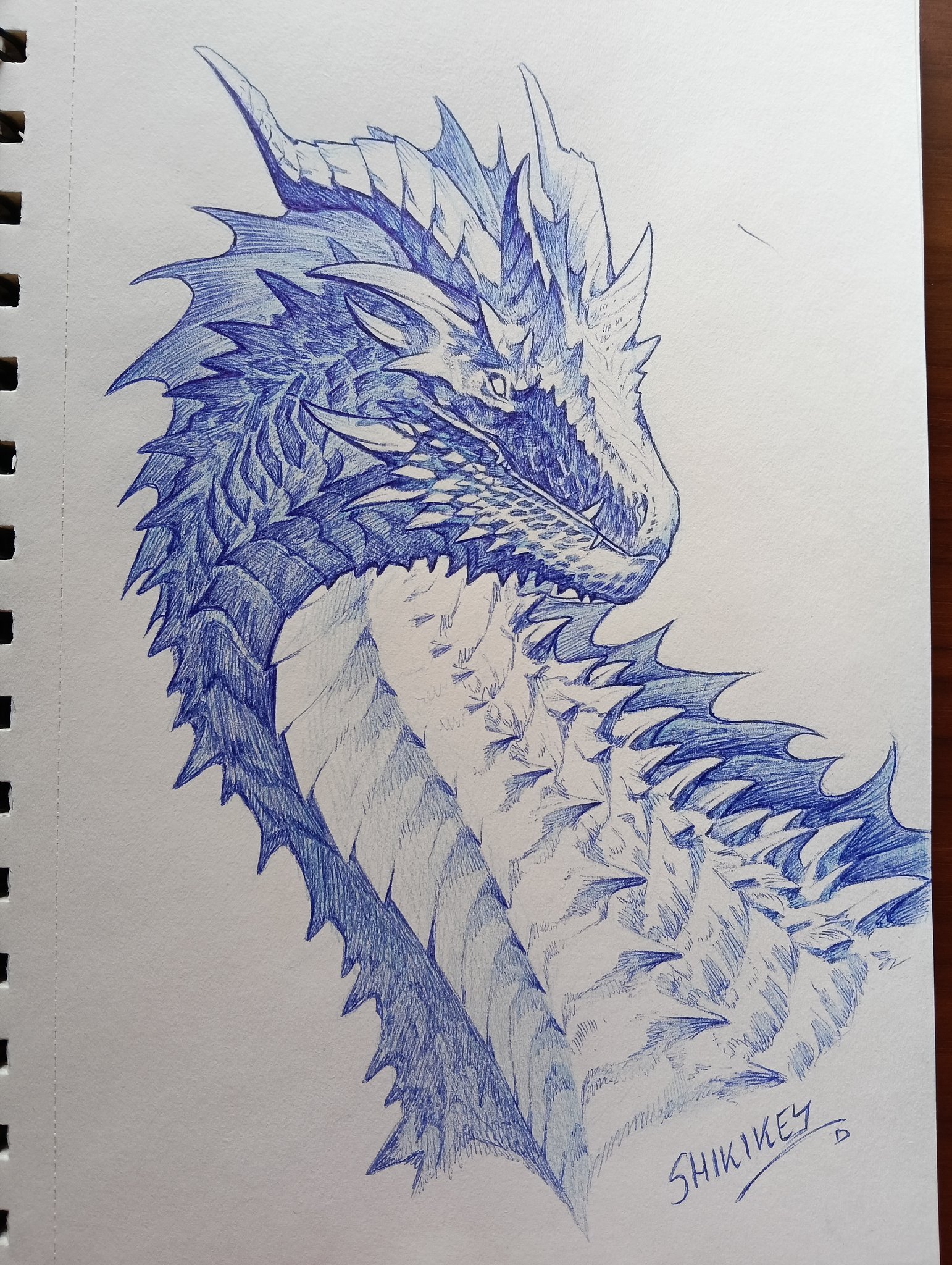 Drawings Of Ice Dragons In Pencil