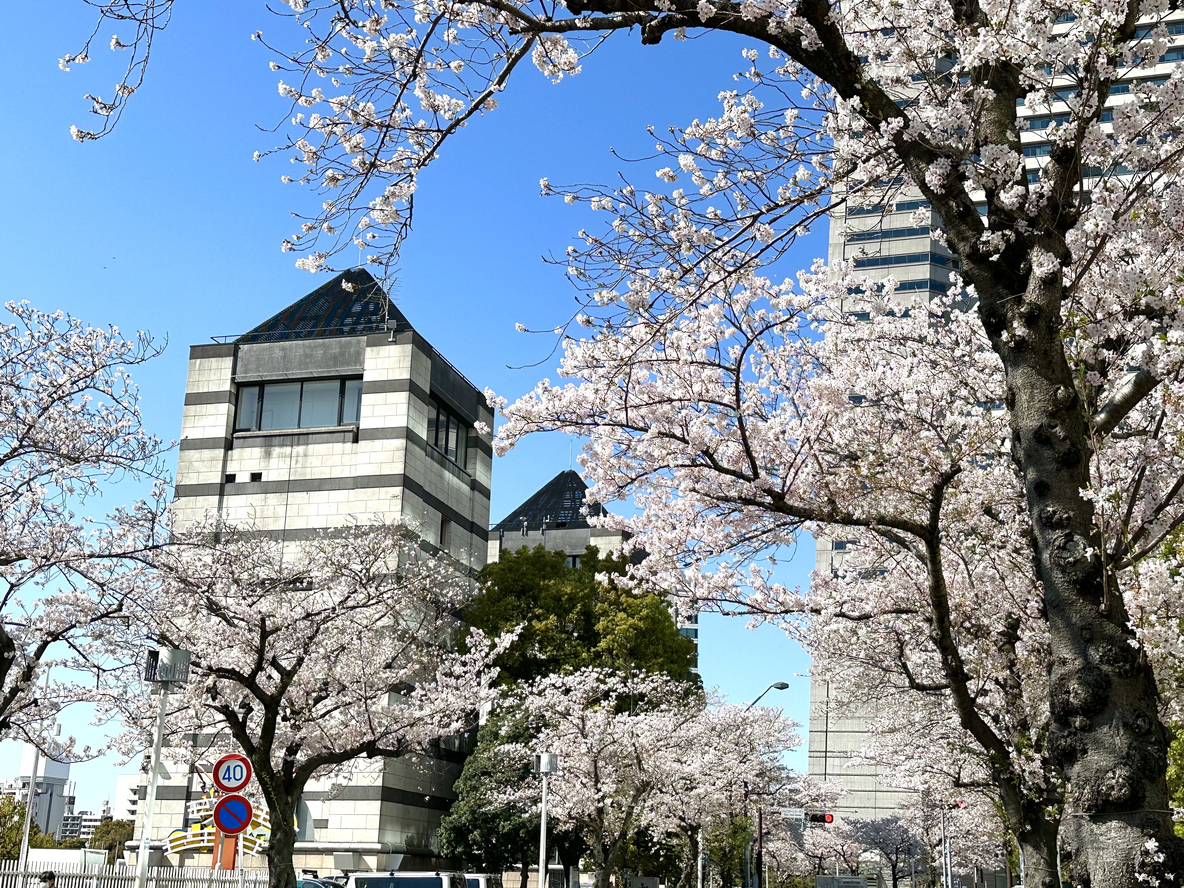 はまこれ横浜 on X: はまこれ横浜 on X:
