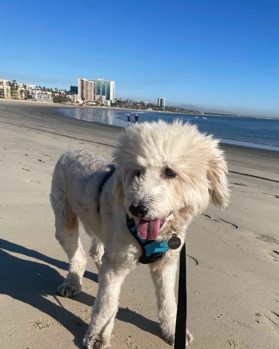 Niall Harbison's Threads – Thread Reader App