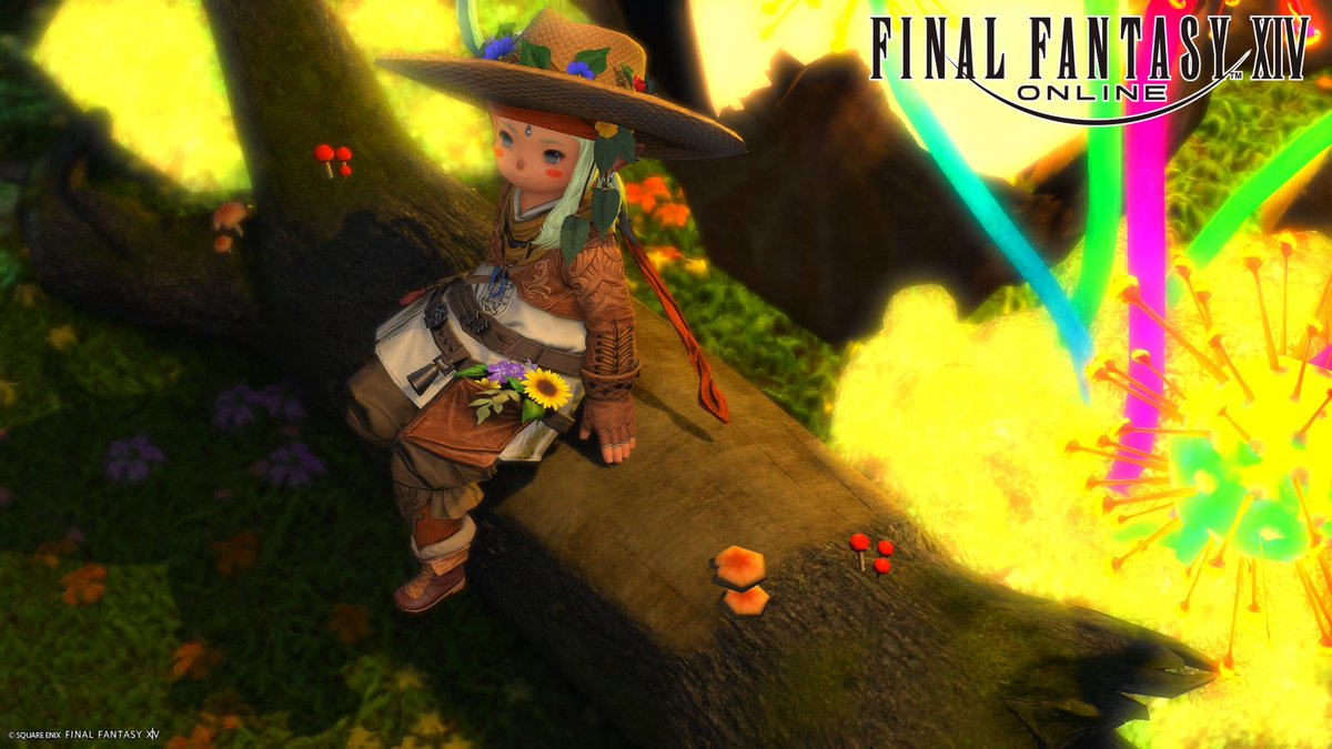 Zlatan Zlatan 日記「こんなディスコミュニケーション」 | FINAL FANTASY XIV, The Lodestone