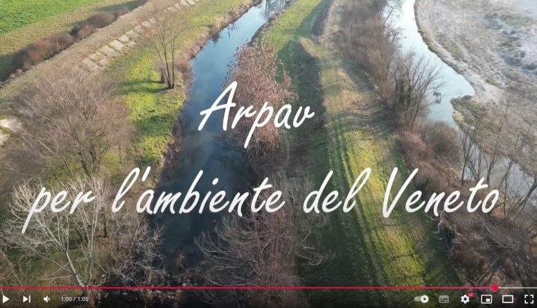 Sito Dell Arpa Veneto Agenzia Regionale Per La Protezione Ambientale