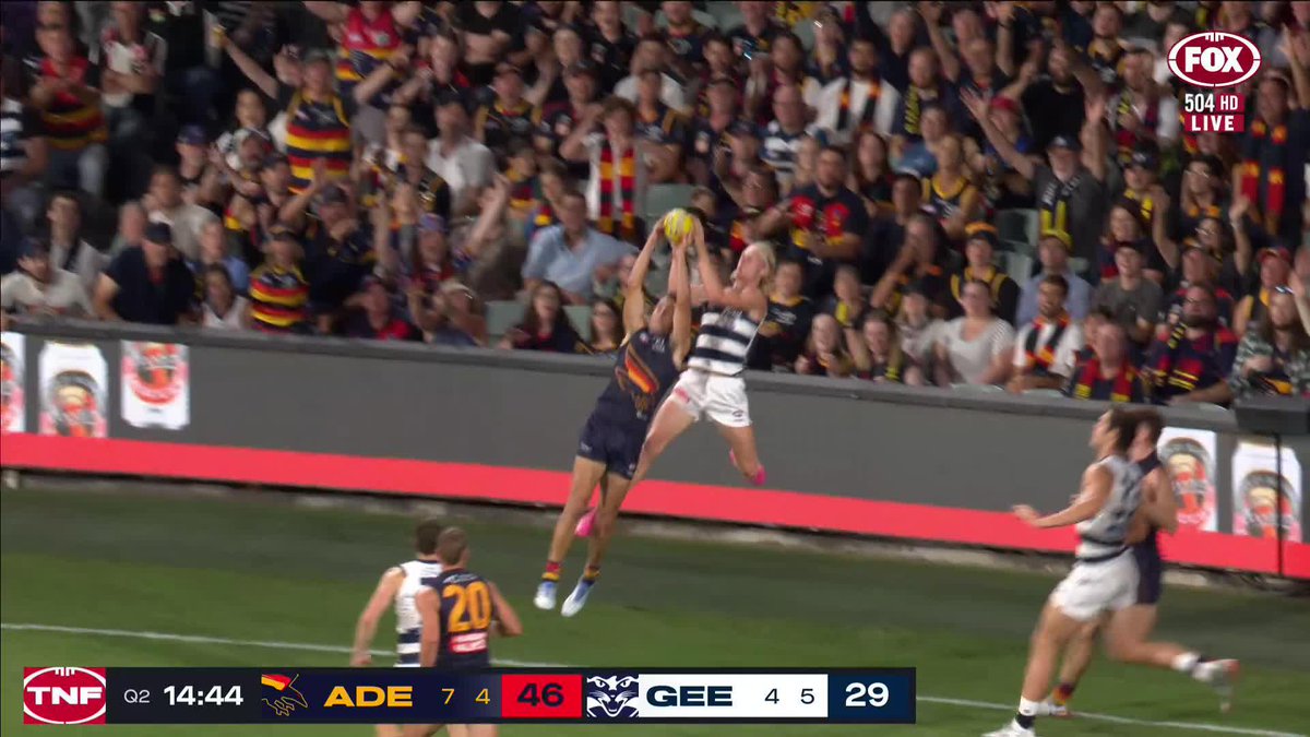 Afl Stupid Quotes Set Of 19 Pcs AFL Footy Team Logo Sign Sticker Vinyl