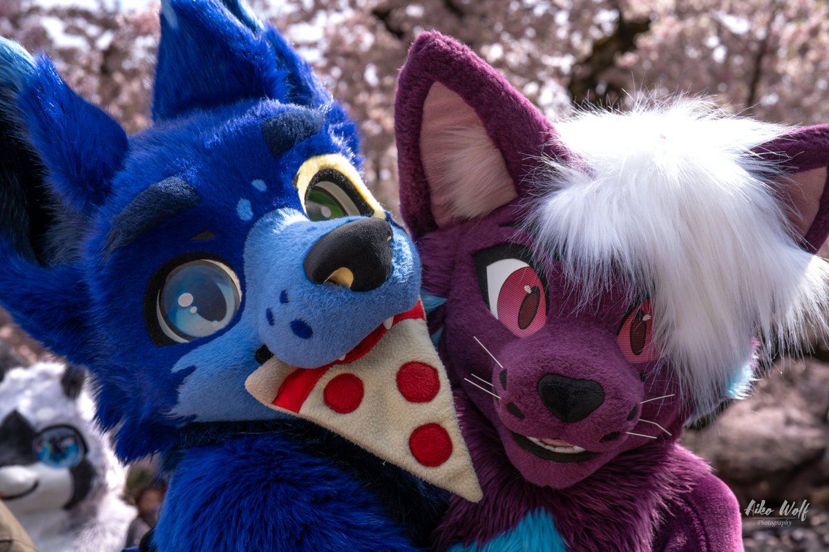 Meeps (@MeepsKitten) / Posts / X