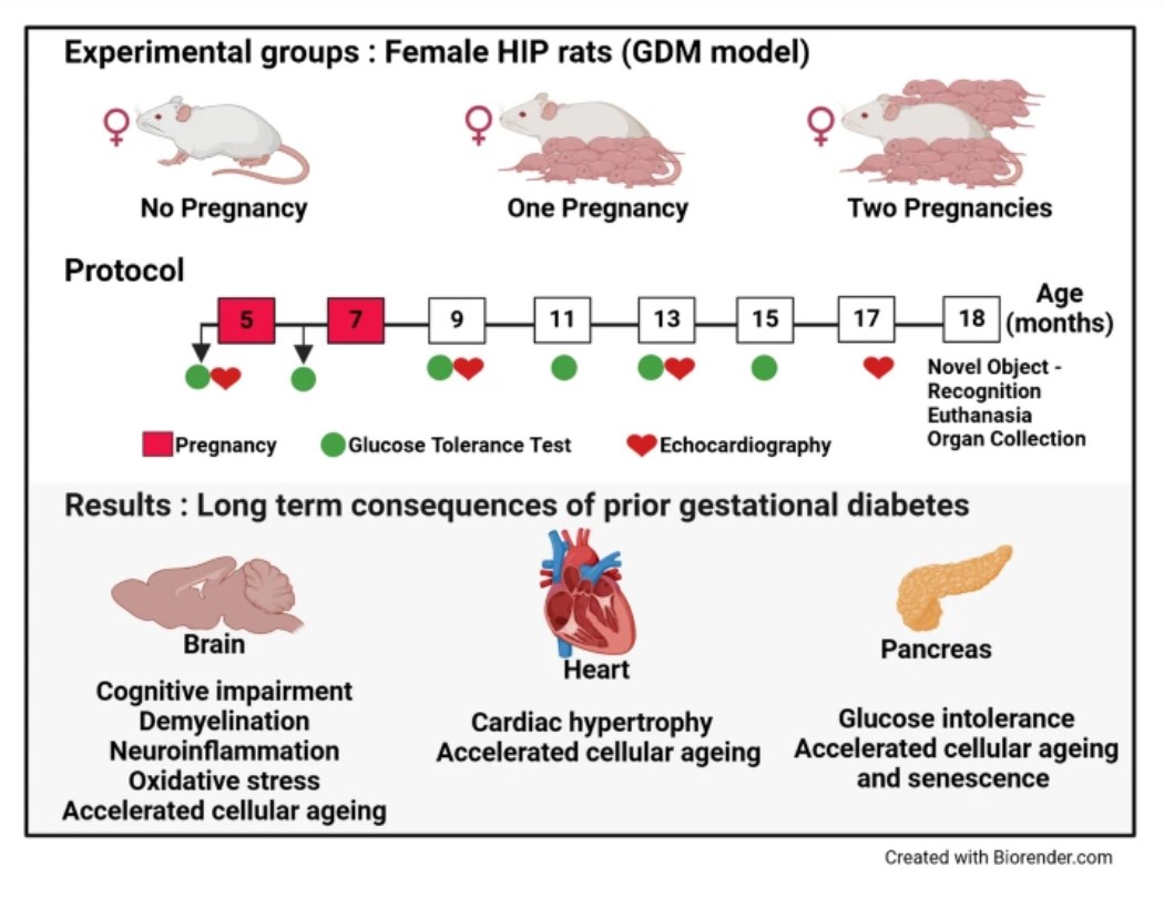 Guidelines for genome-wide association (GWAS) studies and studies ...