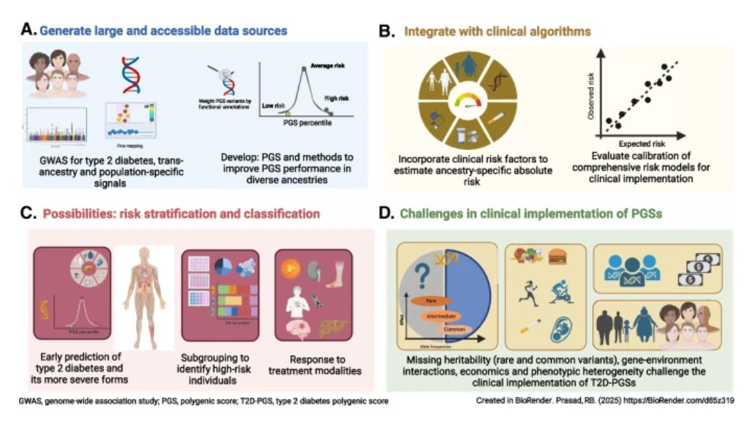 New EASD-ADA consensus guidelines on managing hyperglycaemia in type 2 ...