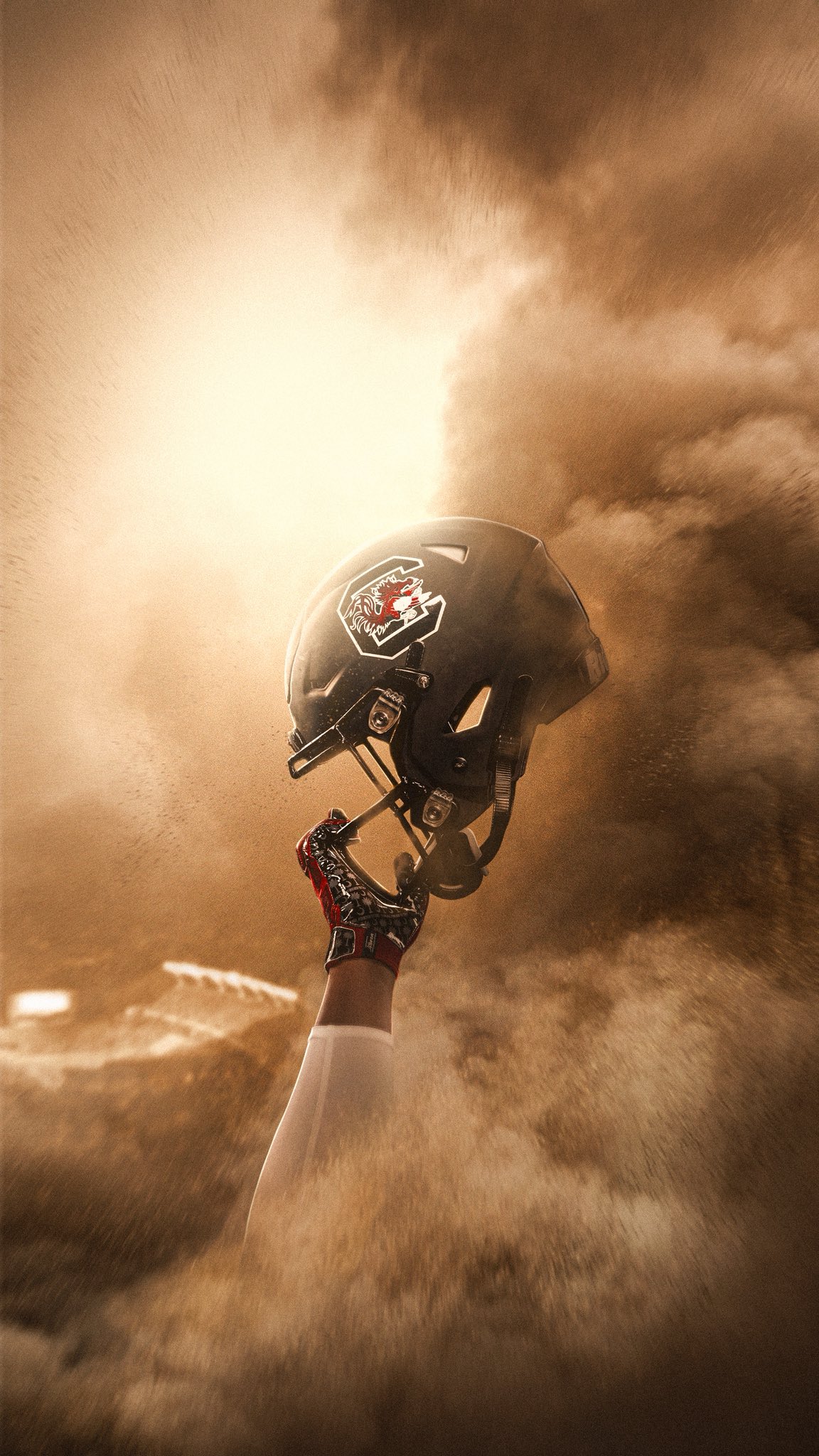Gamecock Football Wallpaper South Carolina