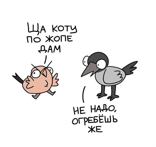 Yaplakalcom Yaplakalcom Twitter