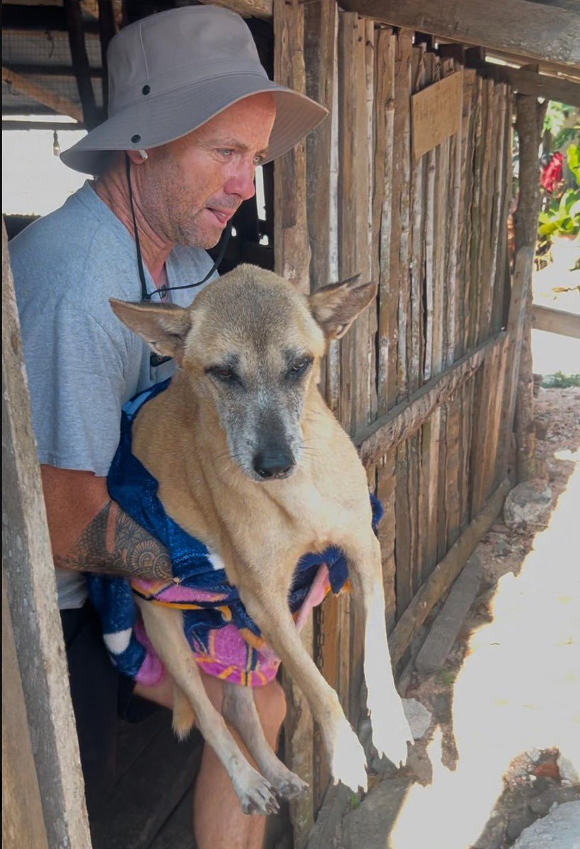 Niall Harbison's Threads – Thread Reader App