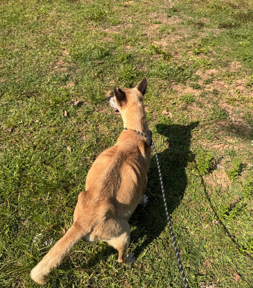 Niall Harbison's Threads – Thread Reader App