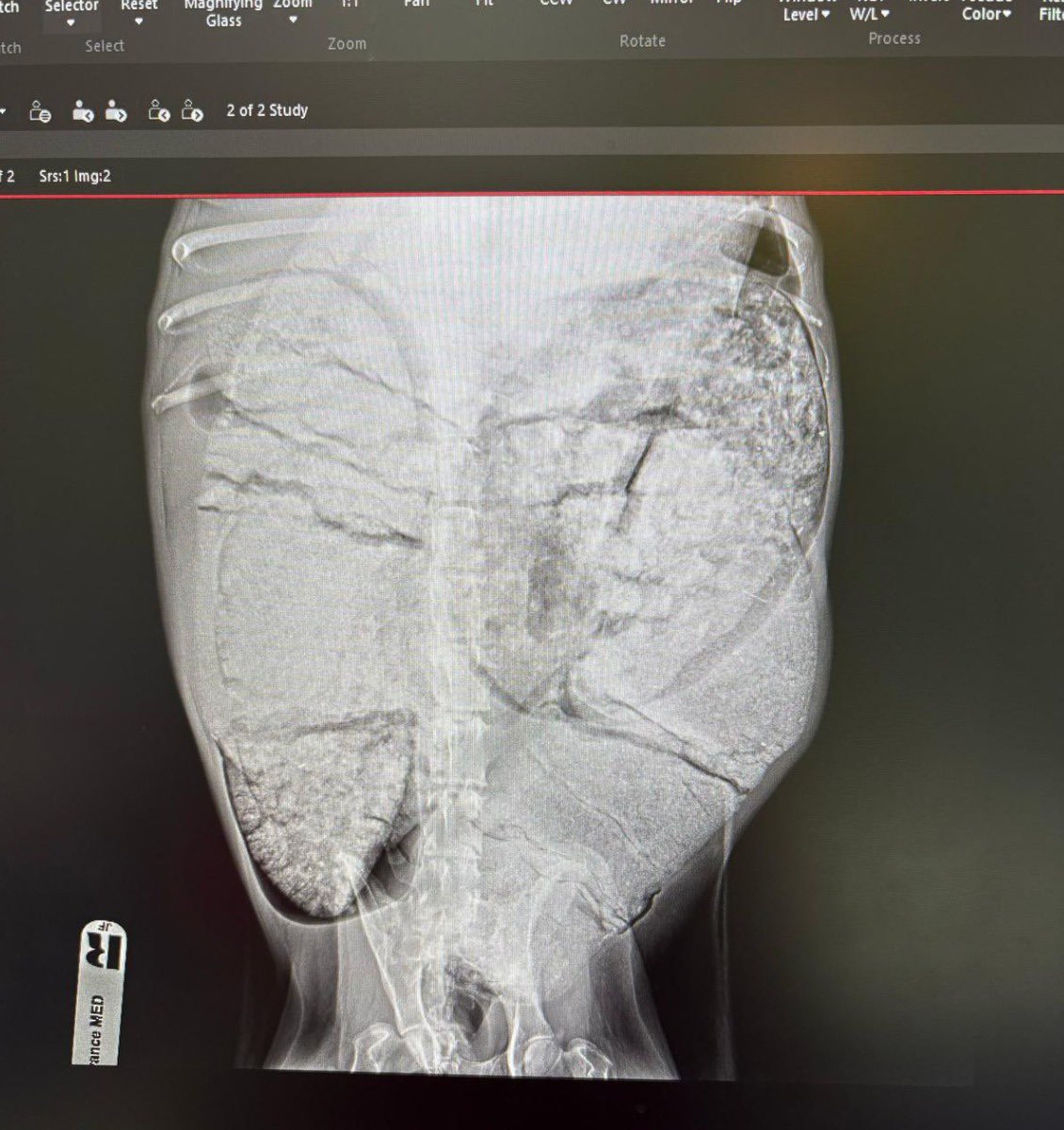 Niall Harbison's Threads – Thread Reader App