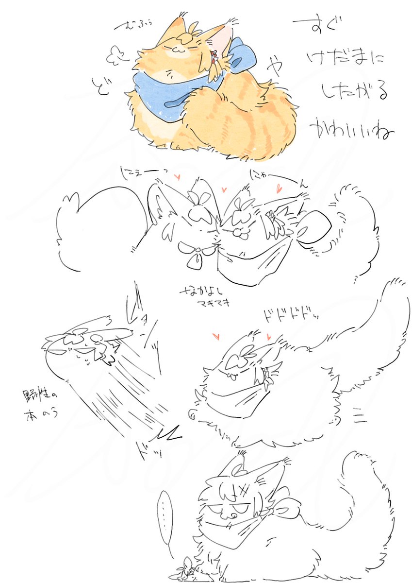 「チェビマキちゃーーーーーーーん!!!!!!! 寝ます!!!!!!!!!!!!!!! 」床の間Q C106(日)西1"む"02bの漫画