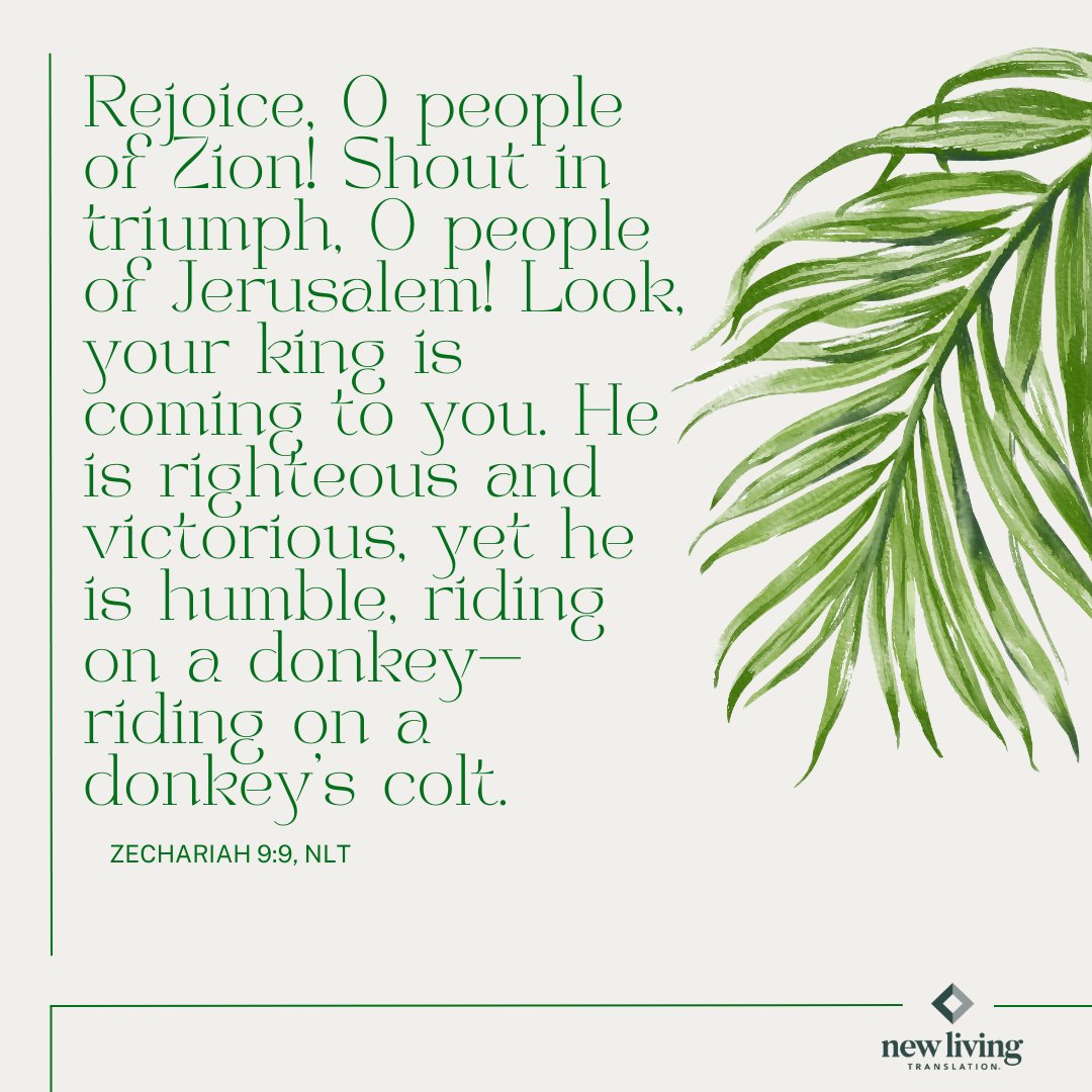 Zechariah 9 Donkey