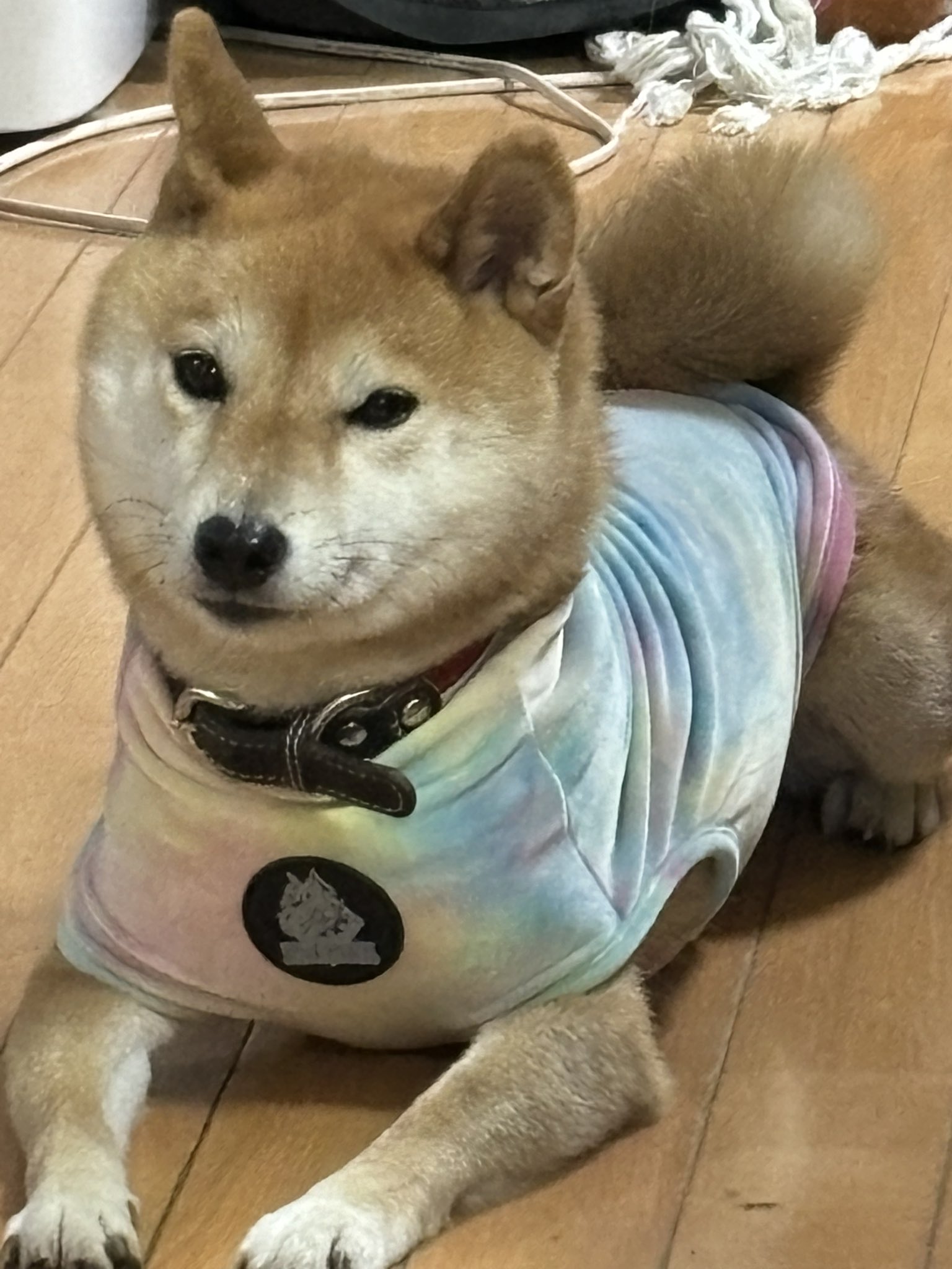 タカ (@Zjbw7Xtn0Y9UXsy) / X タカ (@Zjbw7Xtn0Y9UXsy) / X