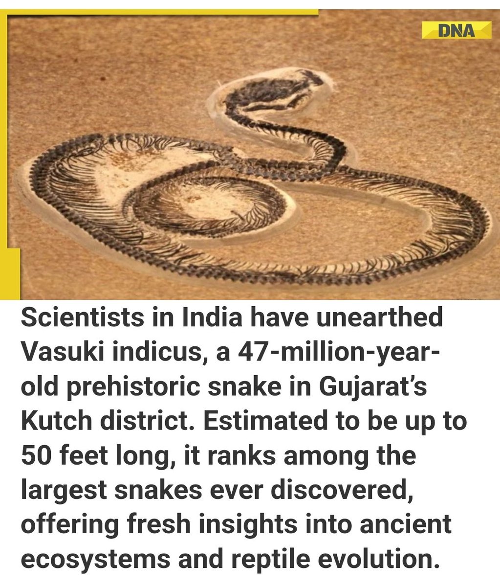 Prehistoric Snake Found In India