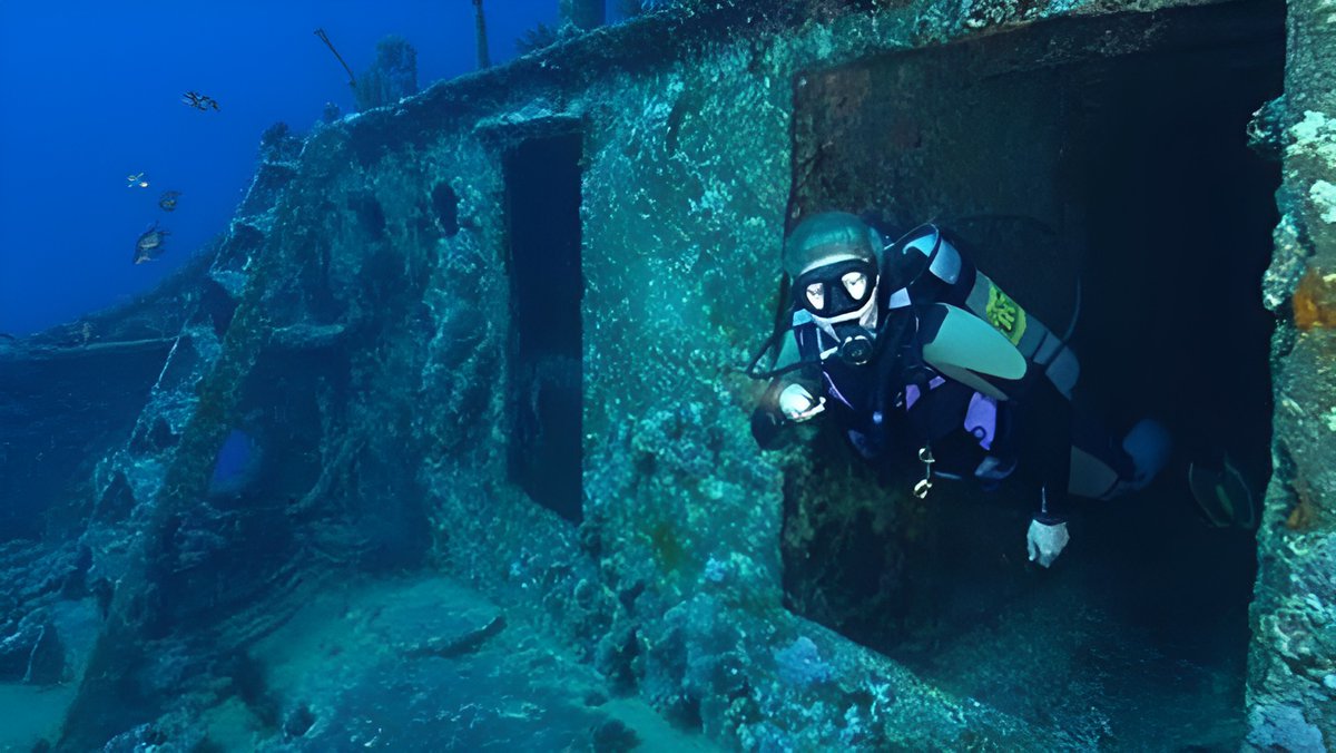 Menikmati Keindahan Wisata Bawah Laut Tulamben, Bali