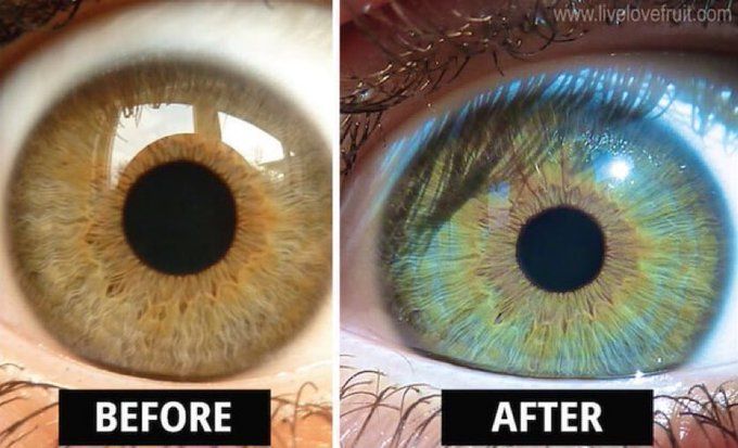 Mente Sabia's Threads – Thread Reader App