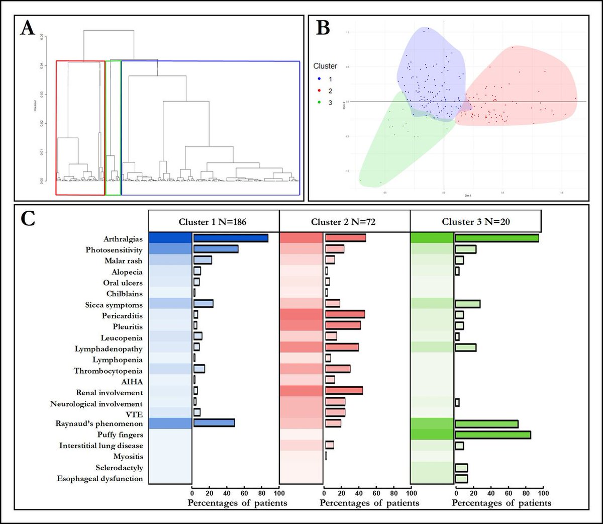 Advocating for Lupus Awareness: EULAR Congress 2023 - Lupus Europe