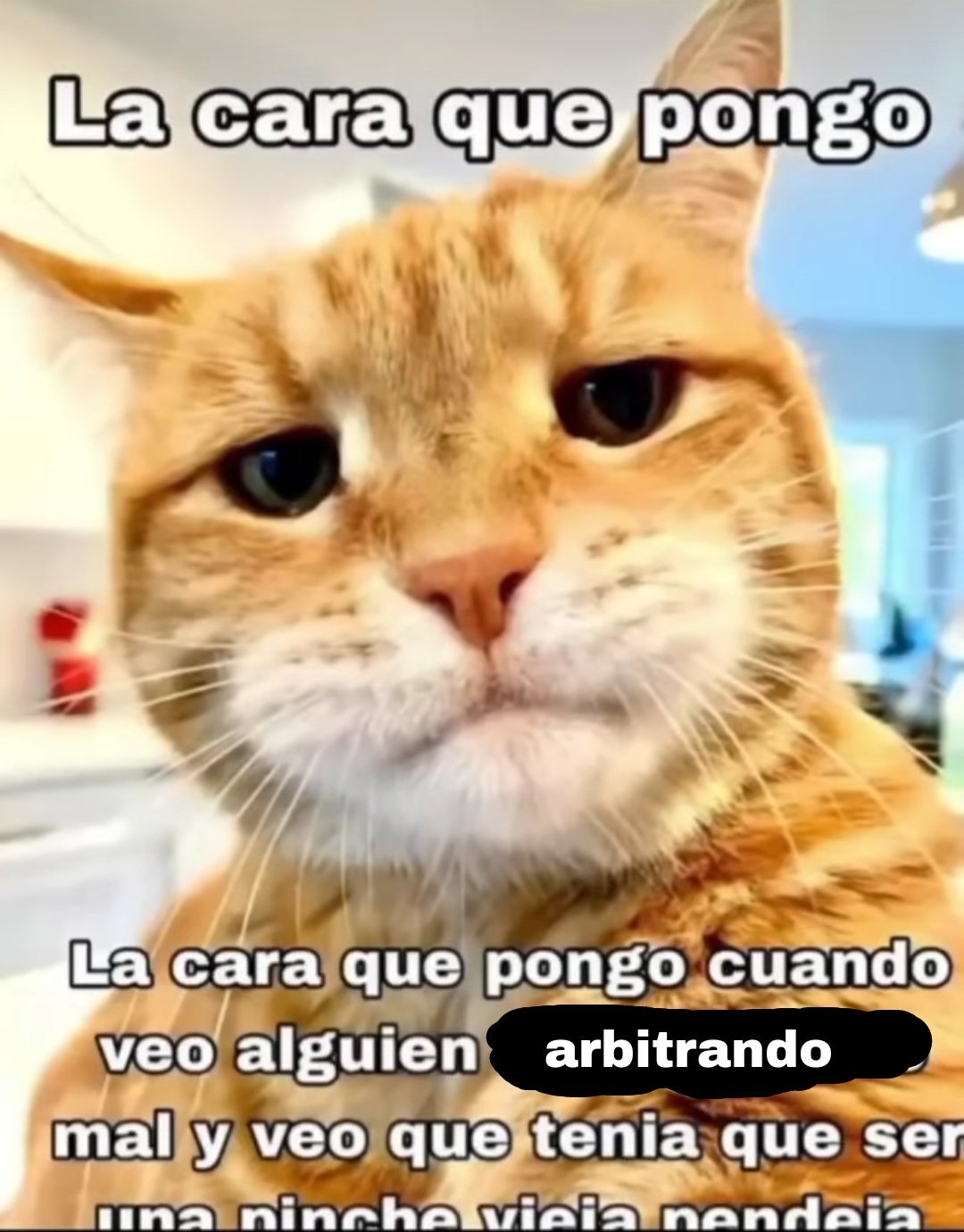 La Vieja Memes