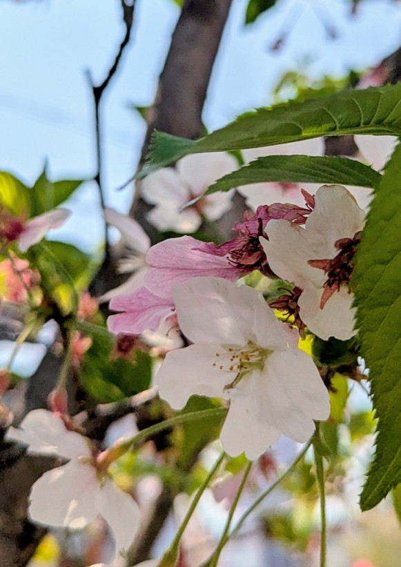 山月(@yamatsuki) - Twilog (ツイログ)