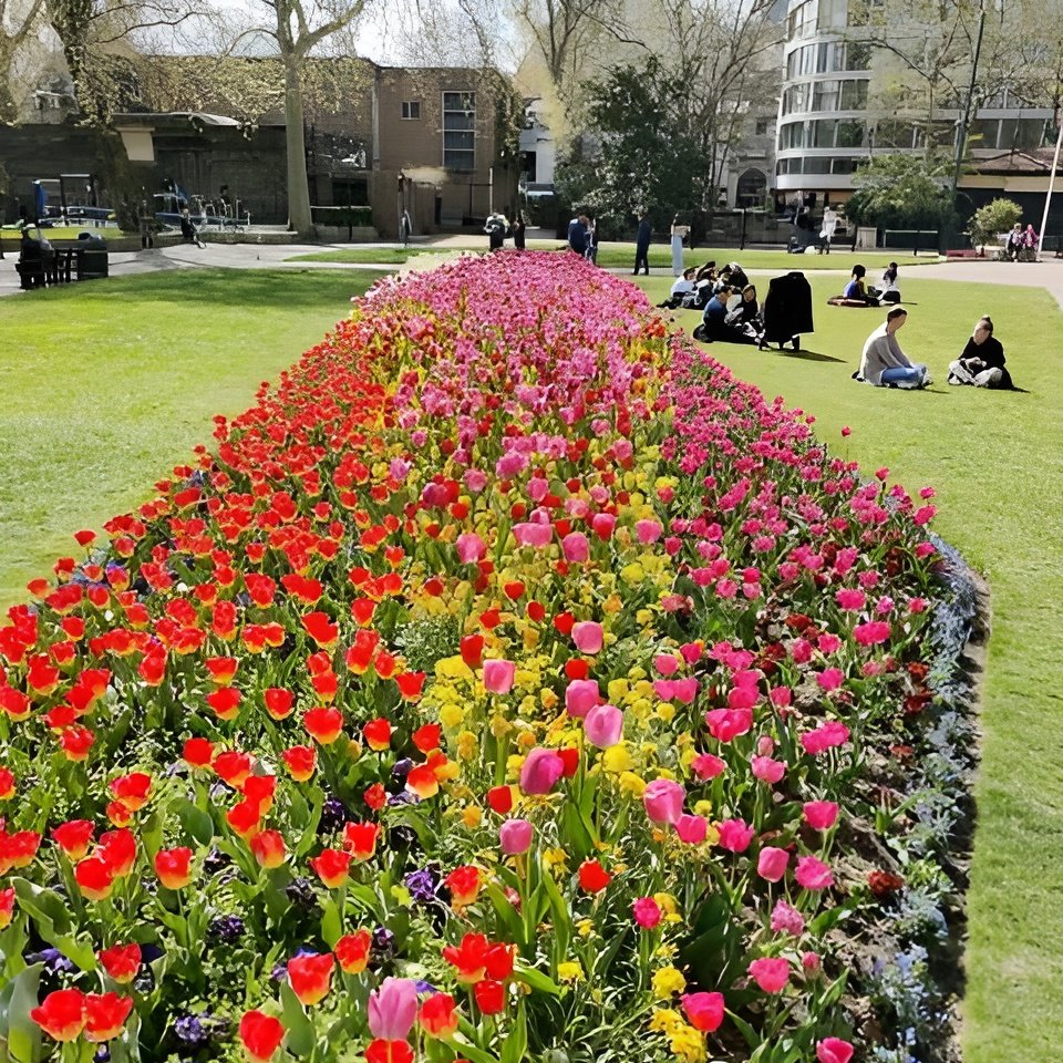 Indahnya Bunga Bermekaran di London, Victoria Embankment Gardens