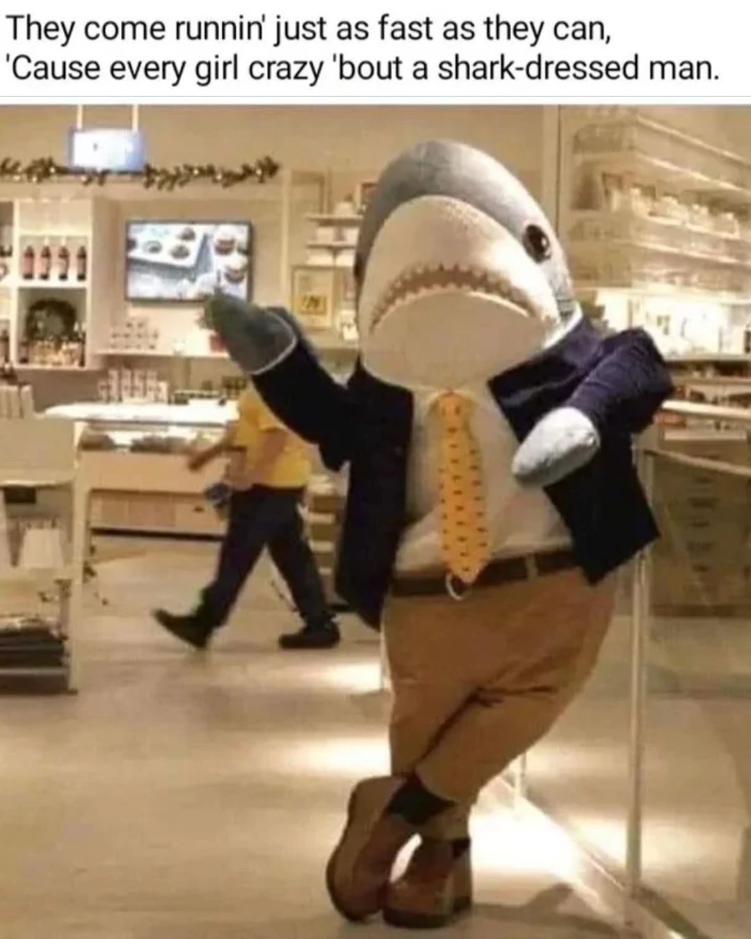 Shark Man Memes Mick Fanning's Escape From Shark Attack Pictured In