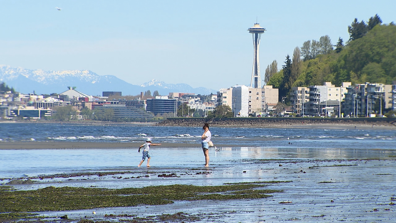 Alki Beach Seattle Transforms Alki Point Street With Added Walking And