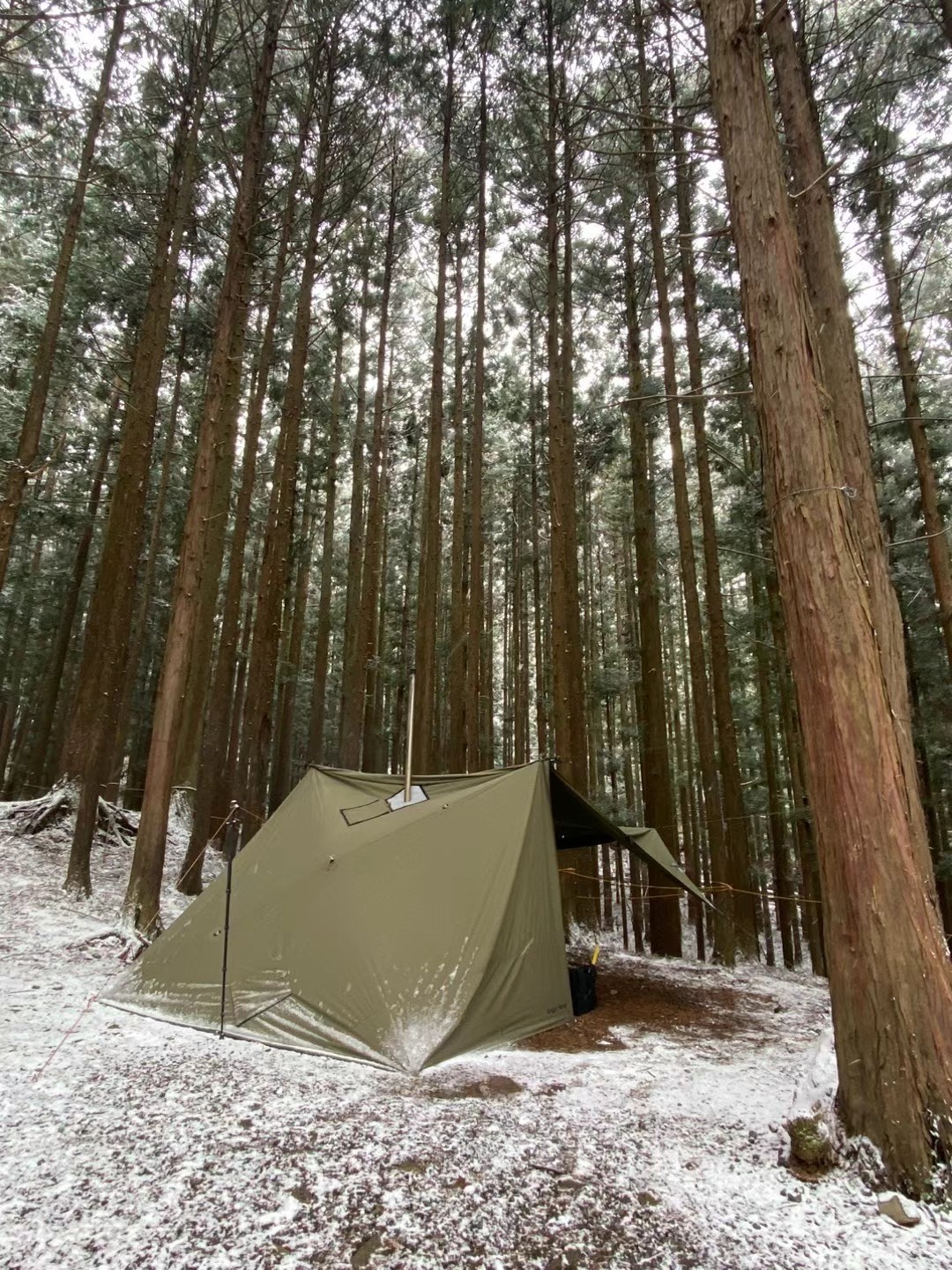公式】DRAGON HORSE OUTDOOR (@DHOutdoor) / X 公式】DRAGON HORSE OUTDOOR (@DHOutdoor) / X