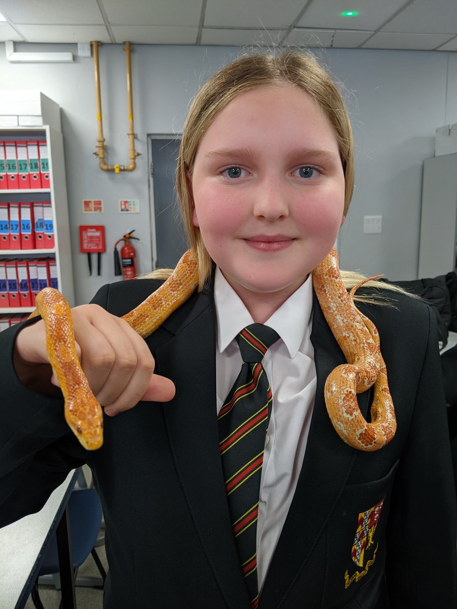 GCSE English Revision Resources – The Friary School