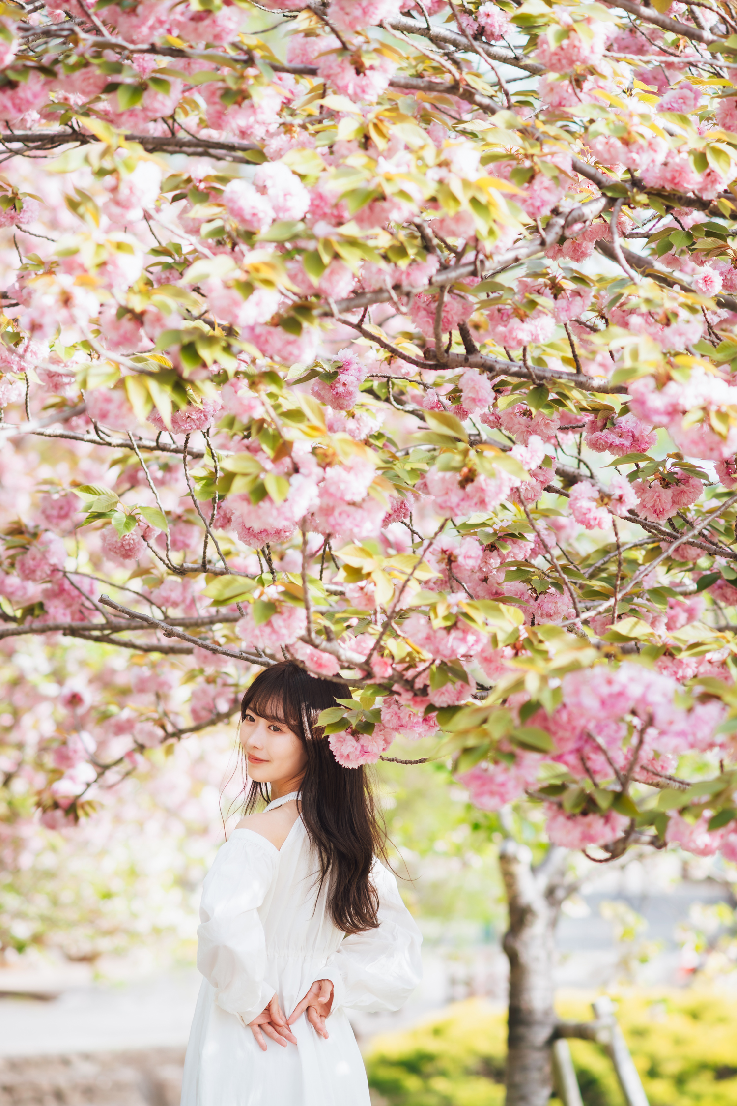 TeT_sugiyam オールドレンズフォトグラファー on X: TeT_sugiyam オールドレンズフォトグラファー on X:
