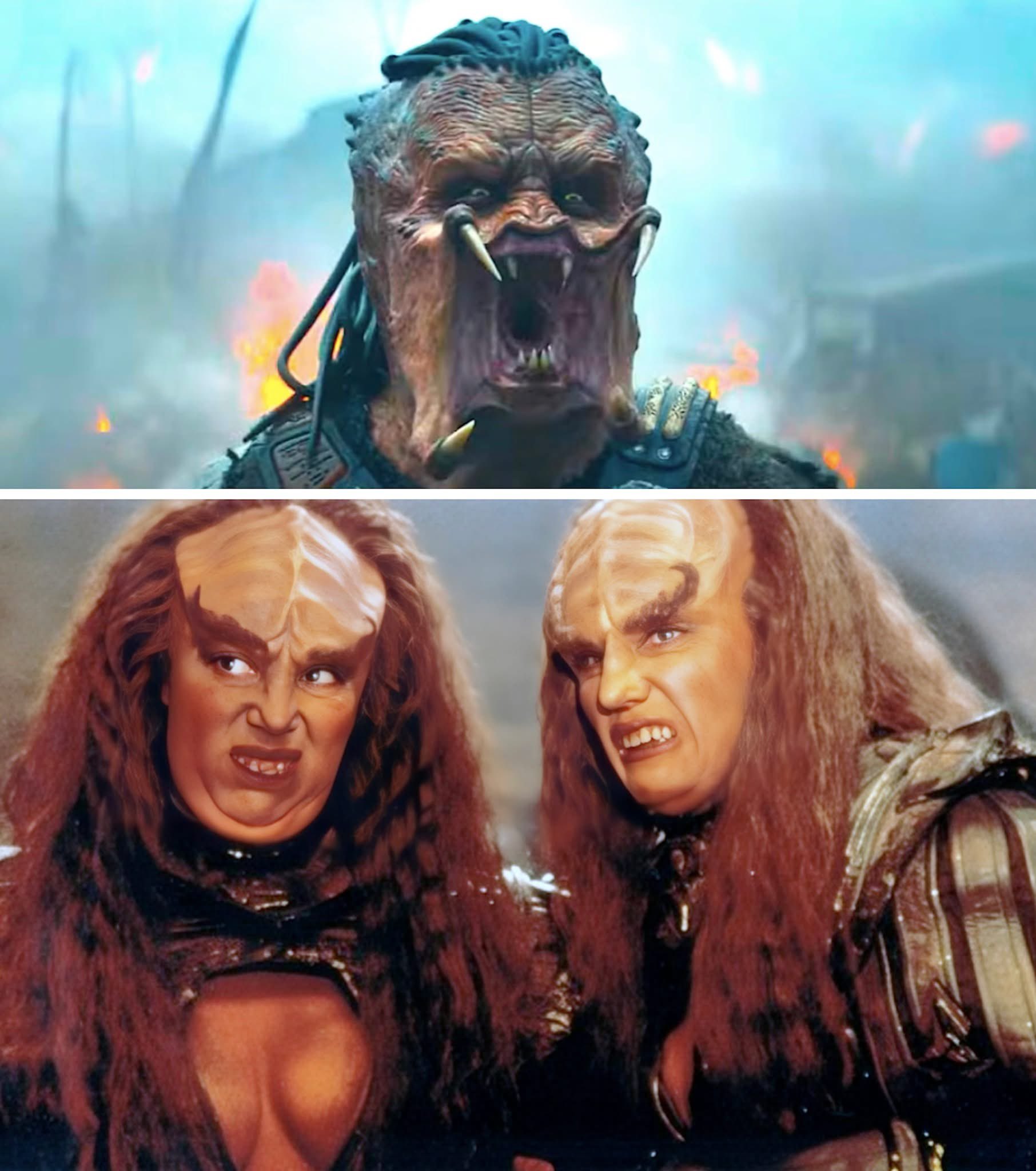 Funny Predator Memes