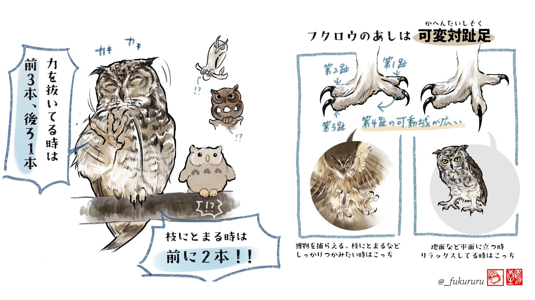 momozuku (@hsk_owl_0v0) / X momozuku (@hsk_owl_0v0) / X