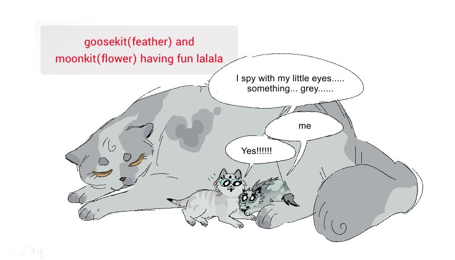 Warrior Cats X Reader Thrushpelt X Heartbroken Reader