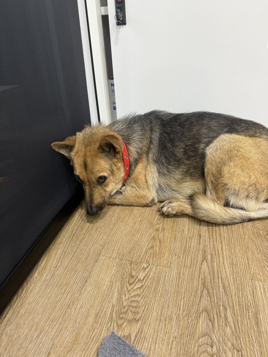 Niall Harbison's Threads – Thread Reader App