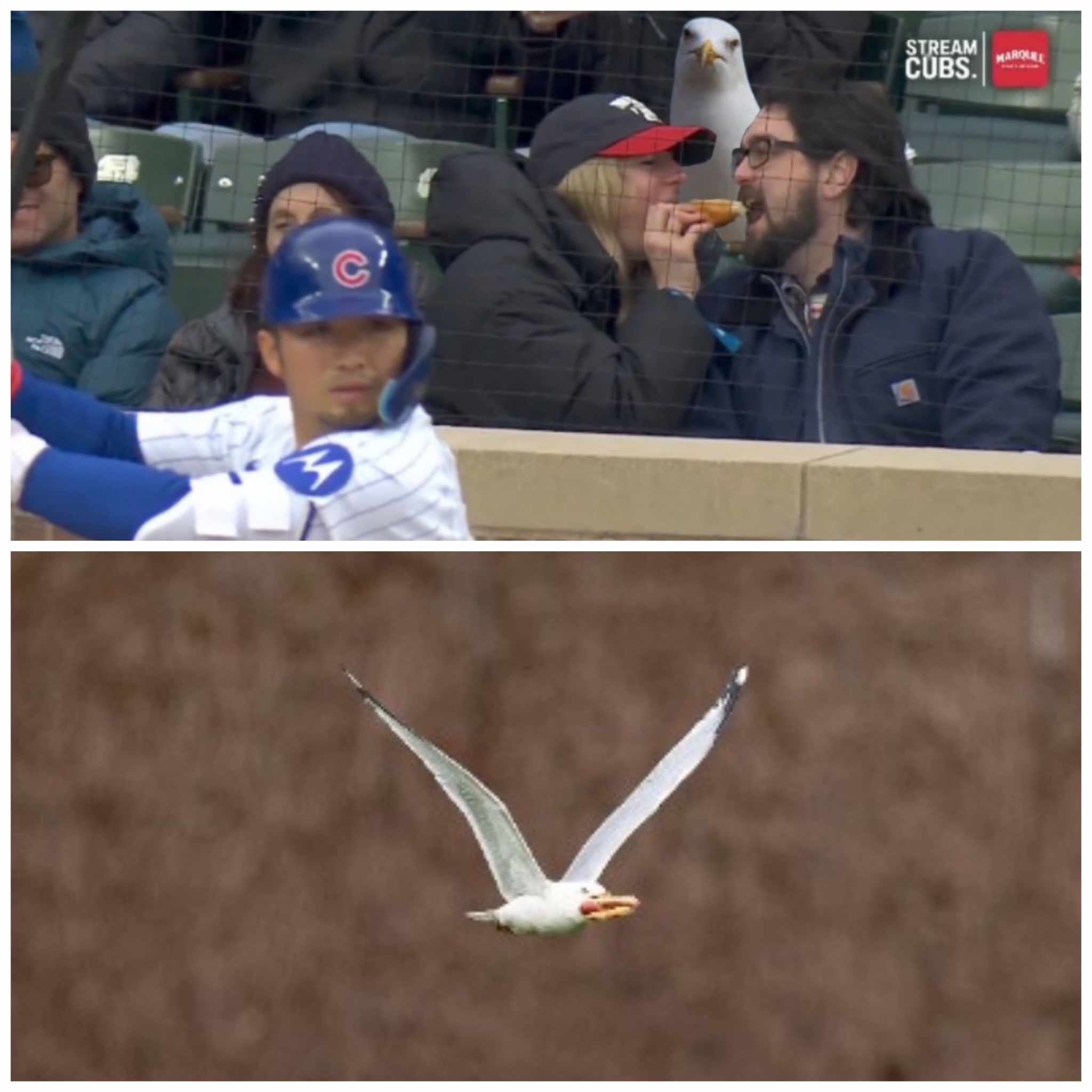 The Bee Hive -- May 2025 Edition - Page 23 - Blogs & Forums