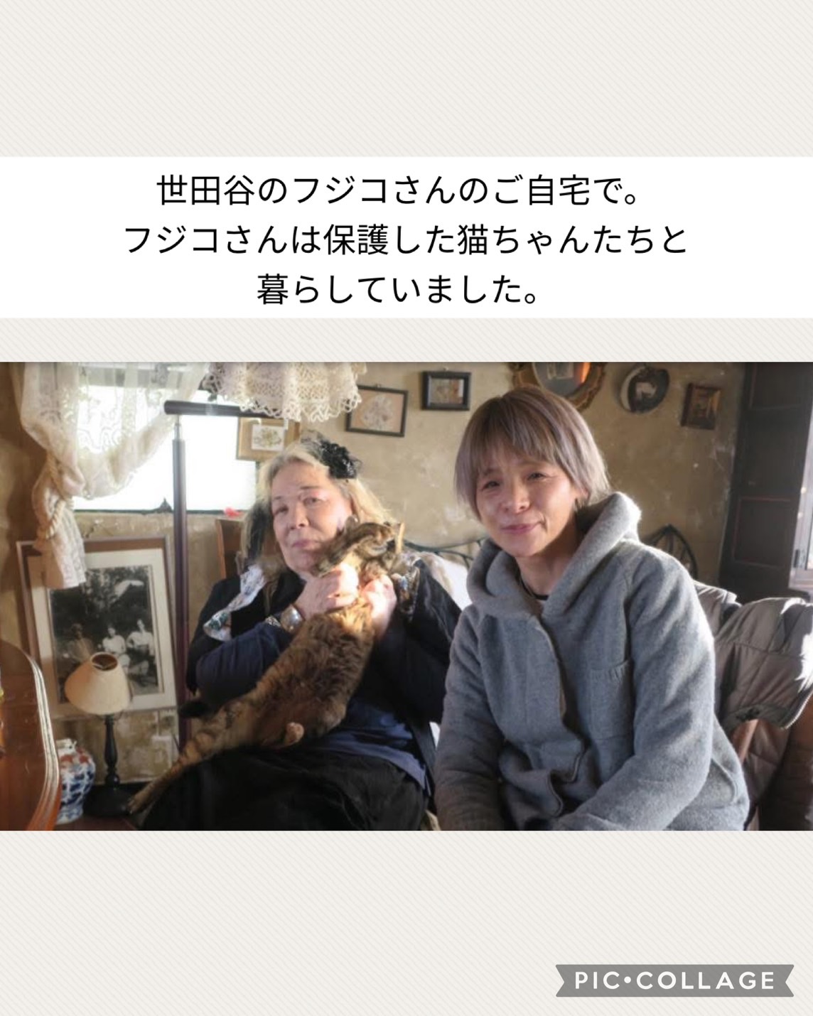 災害時ペット捜索・救助 チームうーにゃん (@teamu_nyan) / X 災害時ペット捜索・救助 チームうーにゃん (@teamu_nyan) / X